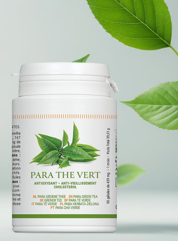 Green tea - Para Green Tea 90 capsules